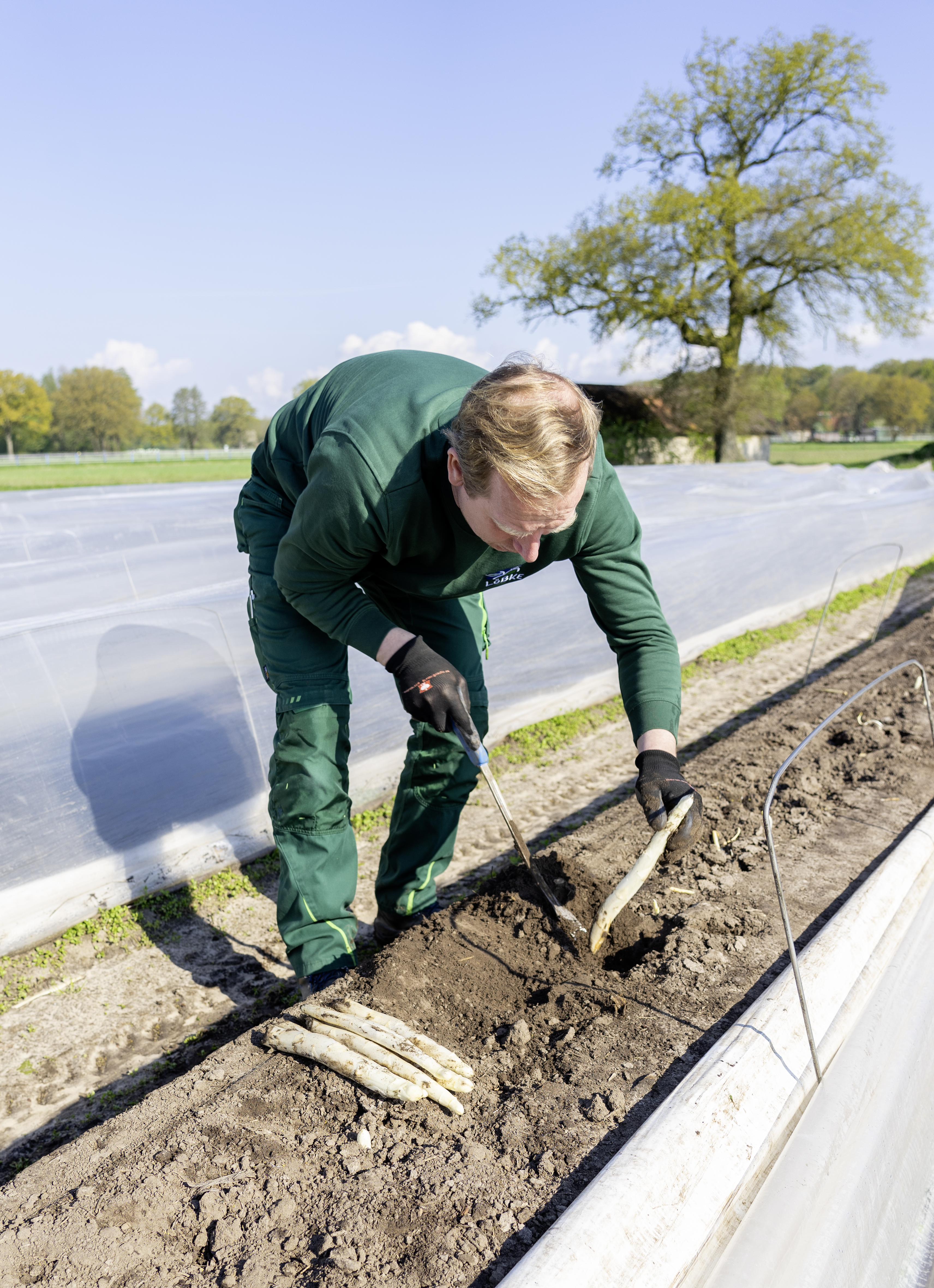 Hof Löbke GmbH und Co. KG | regionale Produkte aus Nordrhein-Westfalen